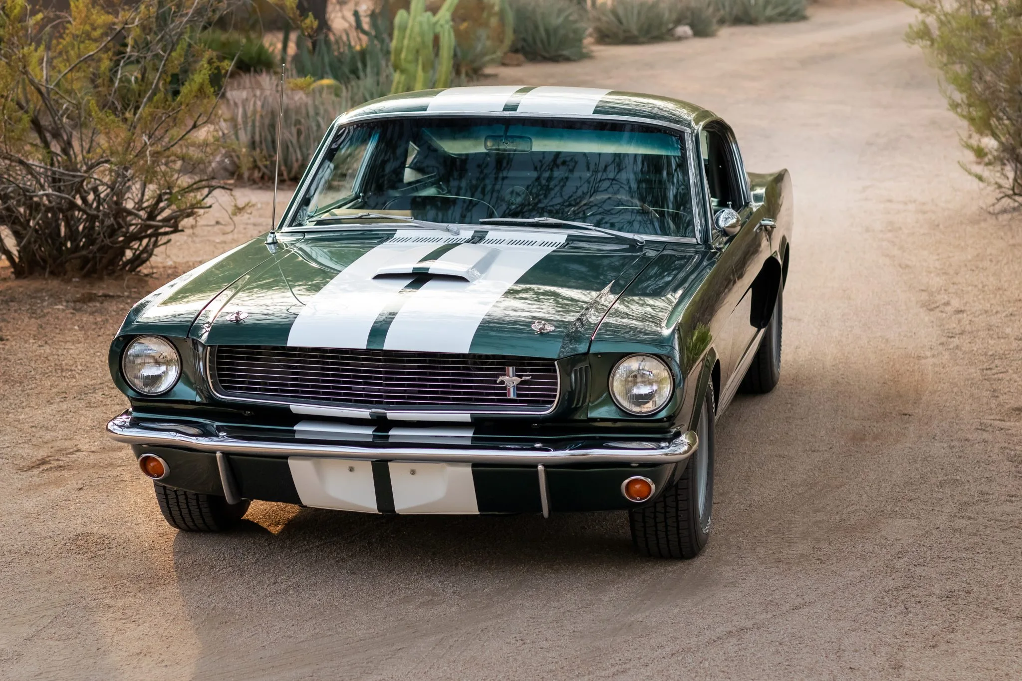 1966 Ford Shelby Mustang GT350 - Classic Car Agenda